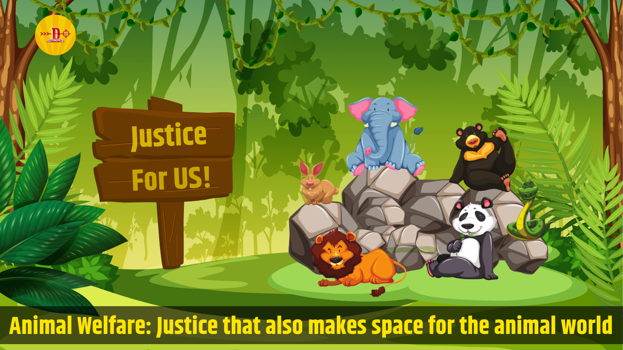 Animal Welfare: Justice that also makes space for the animal world ...